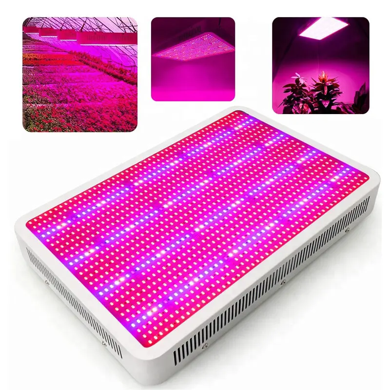 LED Growboard 150w - Byggerom